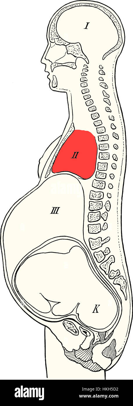 Circular systems hi-res stock photography and images - Alamy