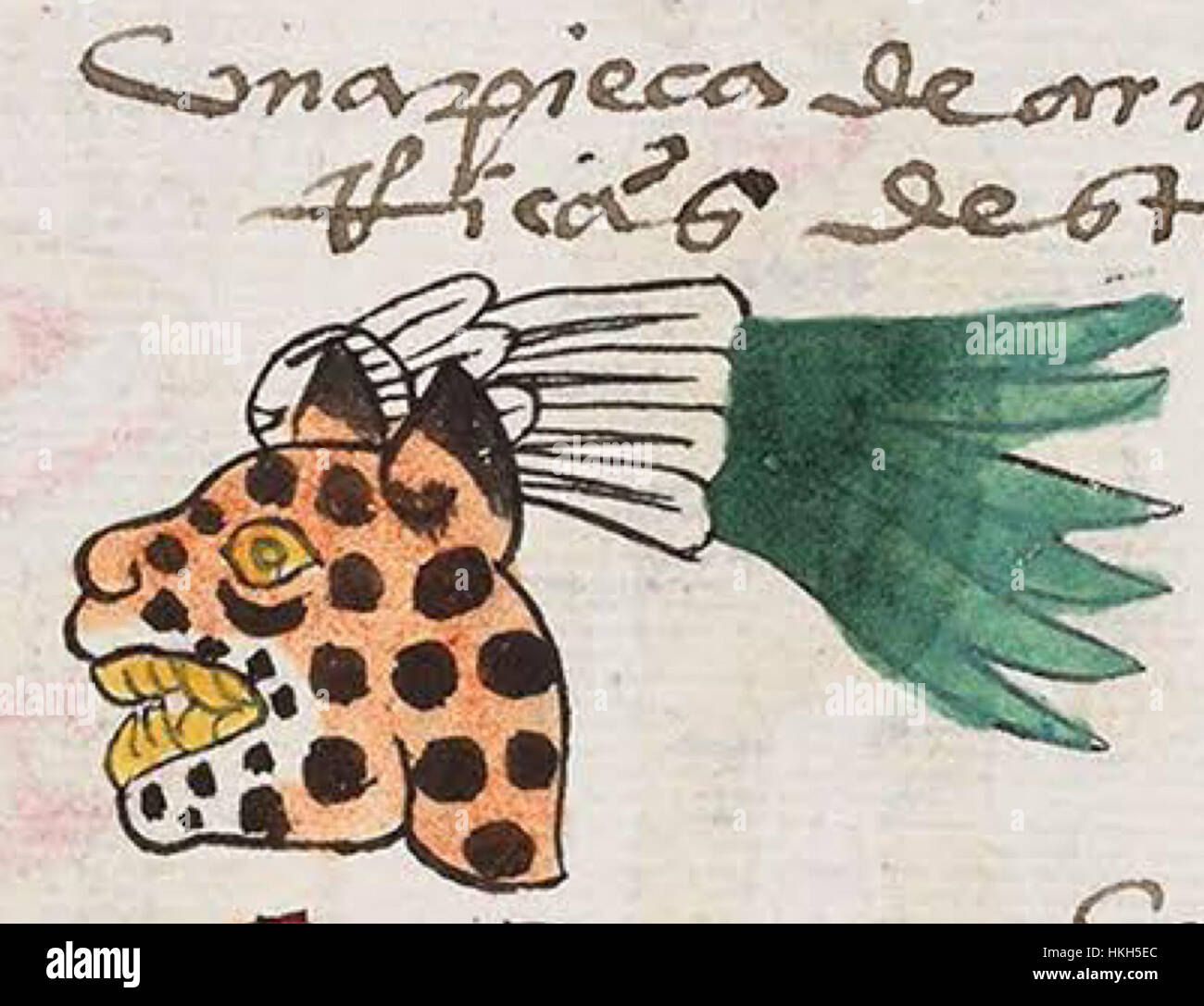 *Cuatepoztli Ocelotl* is a page from the *Codex Mendoza*, an Aztec ...