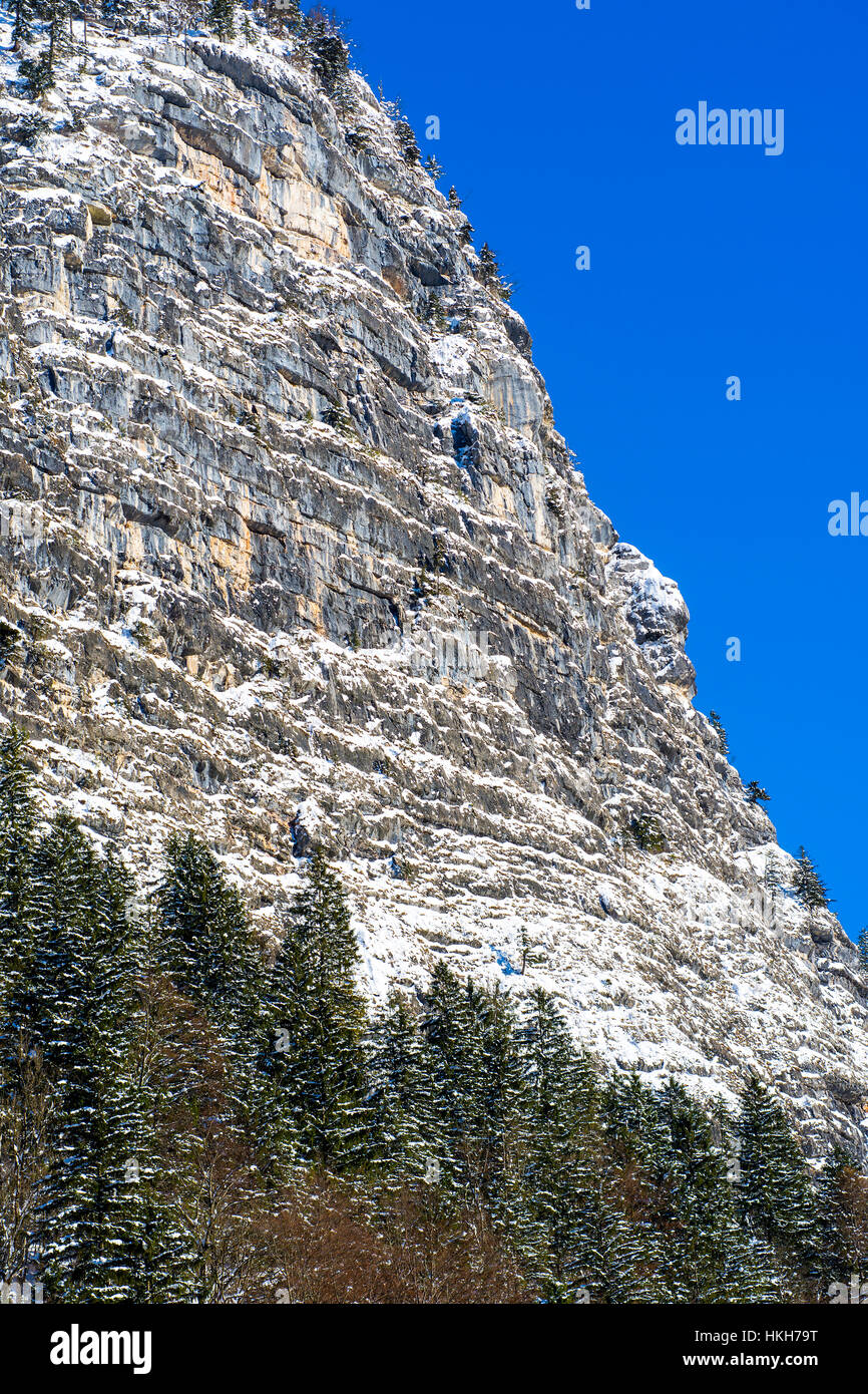 Side View of Mountain Peak with Blue Sky and Pine Forest in the ...