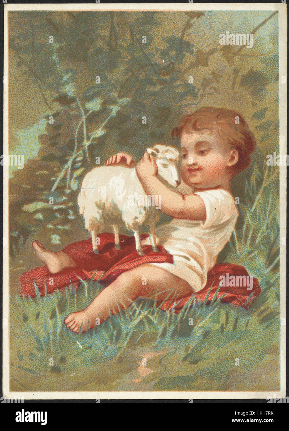 Child hugging a lamb Stock Photo - Alamy