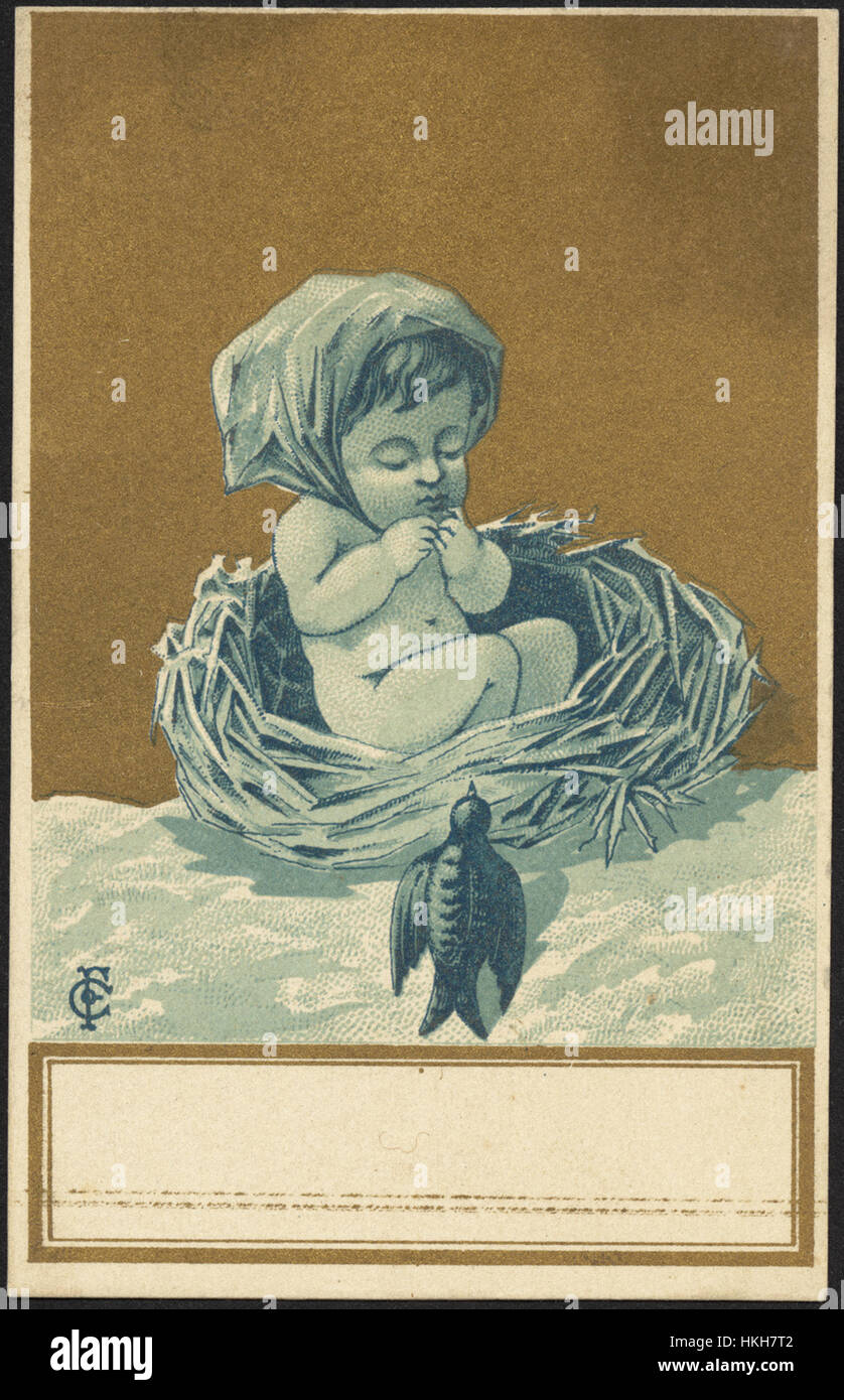 Birds next hi-res stock photography and images - Alamy