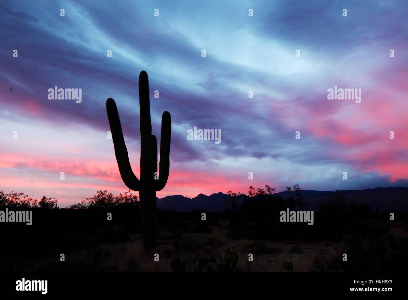 Sunset in sonoran desert hi-res stock photography and images - Alamy