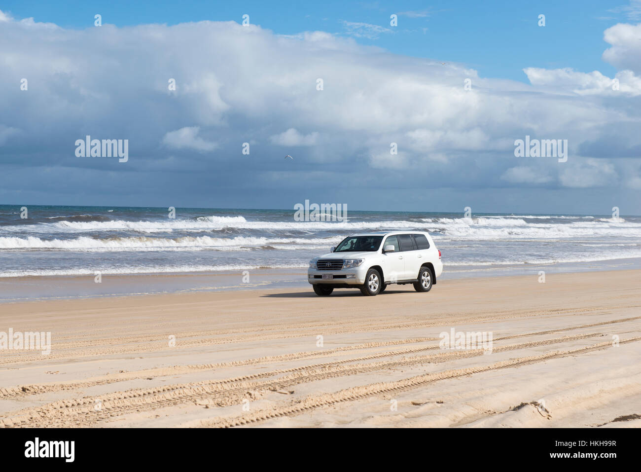A white 4WD car driving down 75 Mile Beach on Fraser Island, Queensland ...