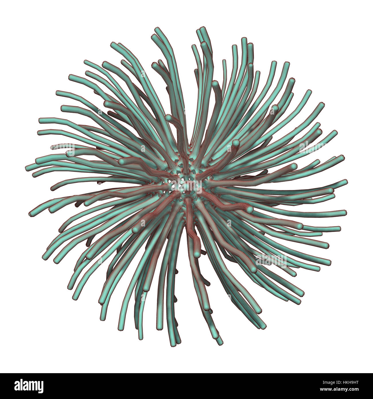 Sphere bacteria Cut Out Stock Images & Pictures - Alamy