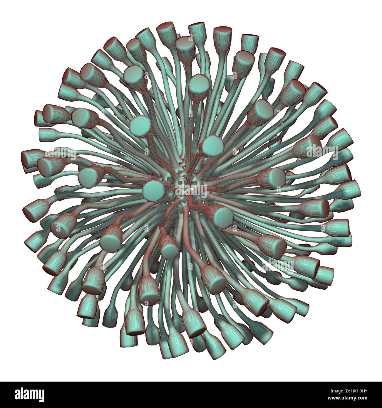 Sphere bacteria Cut Out Stock Images & Pictures - Alamy