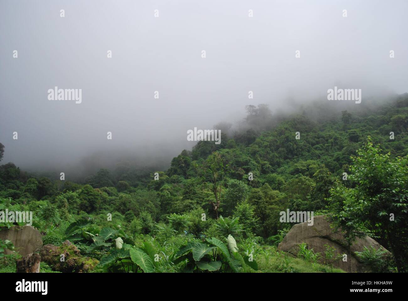 Dzukou Valley Nagaland North East India Stock Photo - Alamy