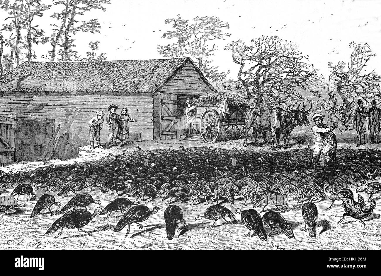 19th Century American Farm Stock Photos & 19th Century American Farm ...