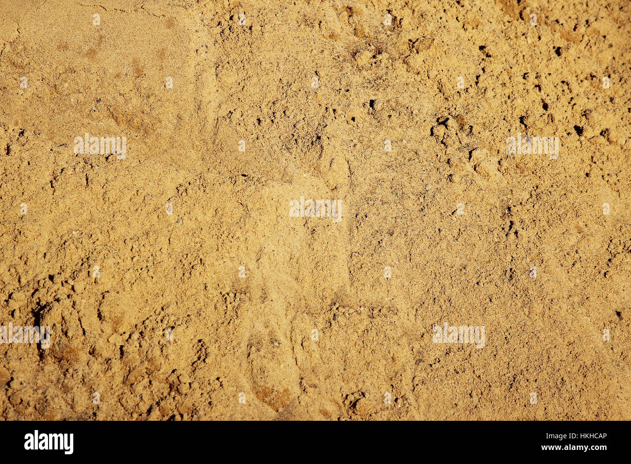 the texture of fine sand at a construction site Stock Photo - Alamy