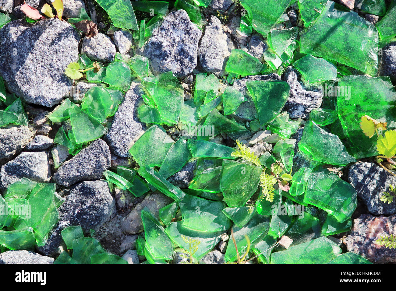 Green bottle shards lying on the pavement Stock Photo - Alamy