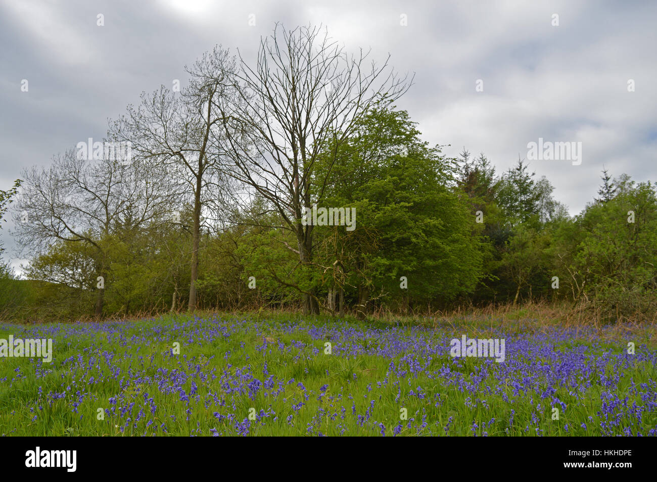 Breidden hills shropshire hi-res stock photography and images - Alamy