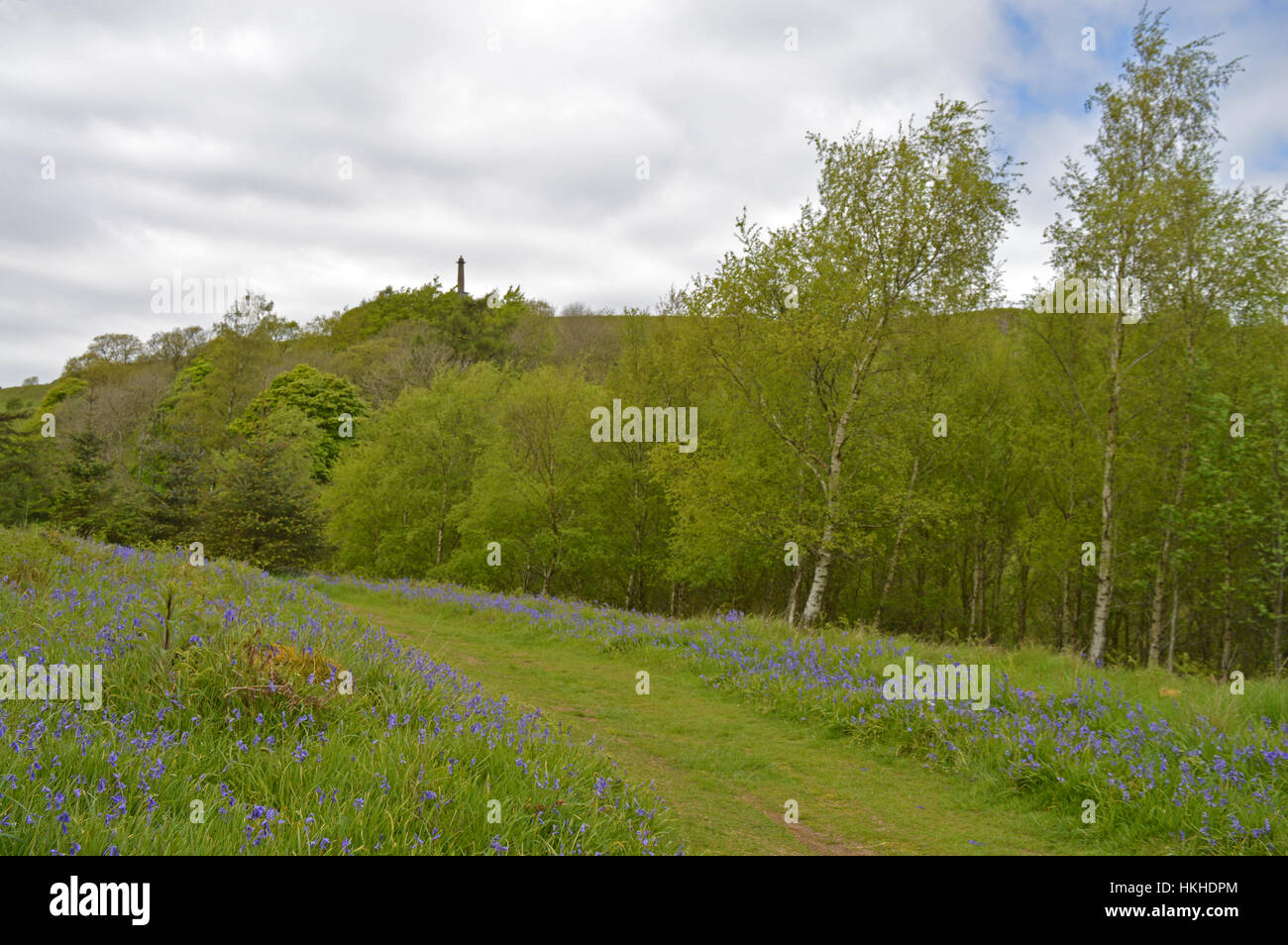 Rodneys Pillar on Breidden Hill, Welshpool, Powys Stock Photo - Alamy
