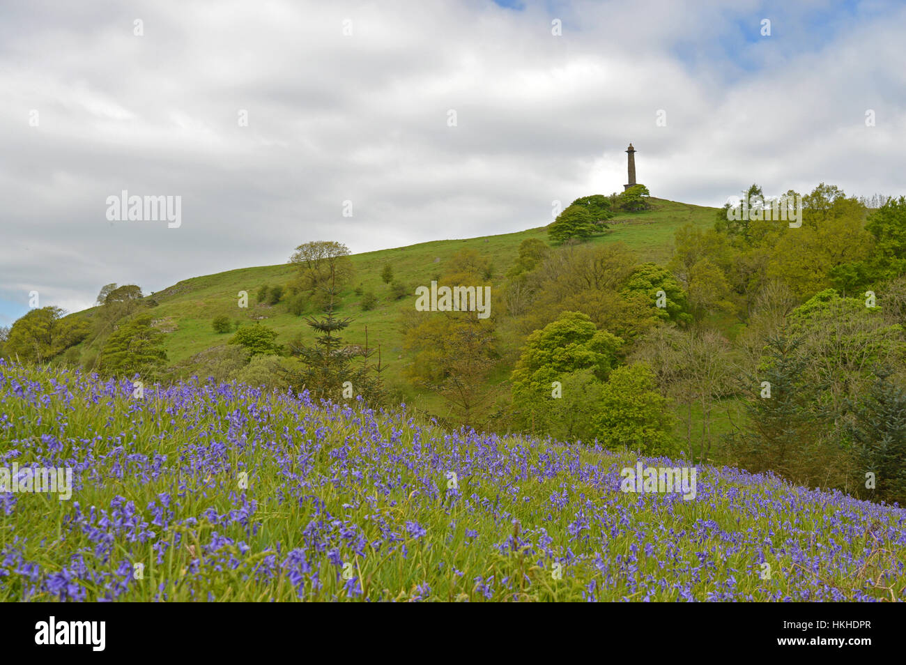 Rodneys Pillar on Breidden Hill, Welshpool, Powys Stock Photo - Alamy