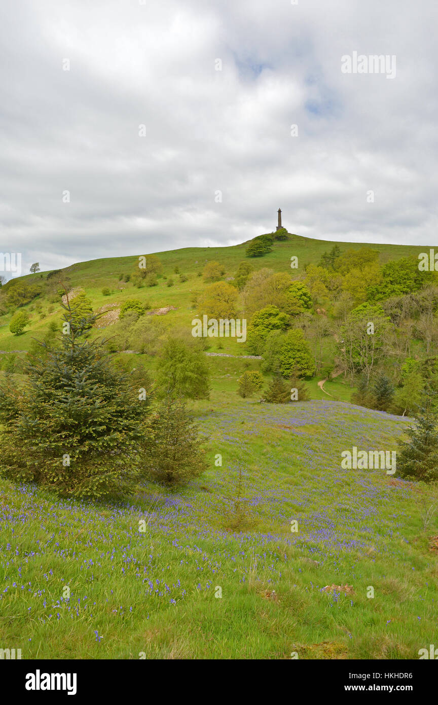 Rodneys Pillar on Breidden Hill, Welshpool, Powys Stock Photo - Alamy
