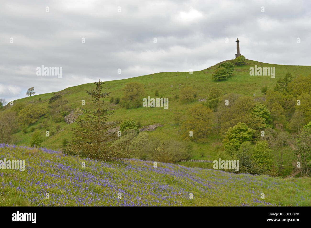 Rodneys Pillar on Breidden Hill, Welshpool, Powys Stock Photo - Alamy