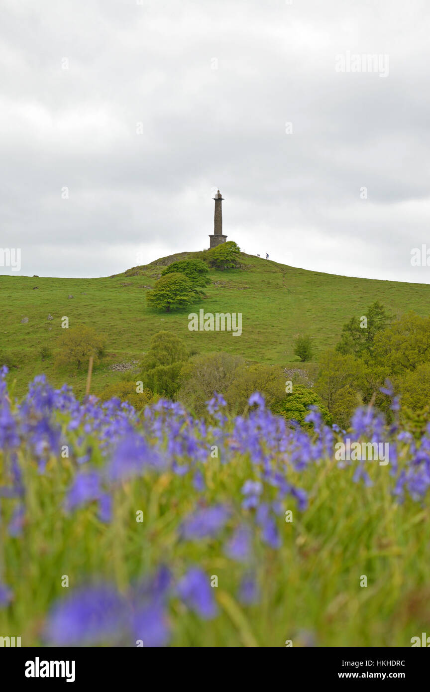 Adult walking a dog at Rodneys Pillar on Breidden Hill, Welshpool ...