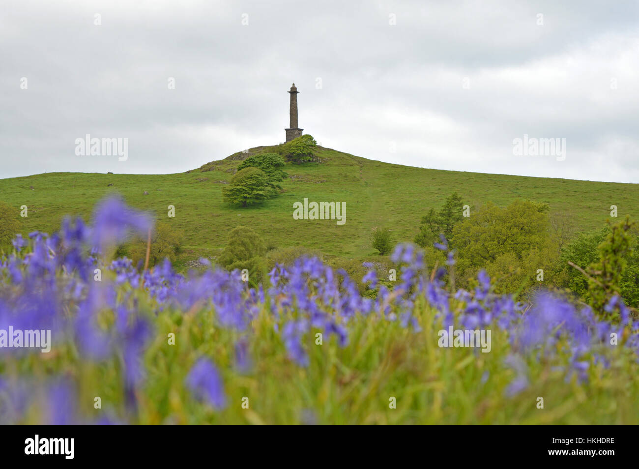 Rodneys Pillar on Breidden Hill, Welshpool, Powys Stock Photo - Alamy