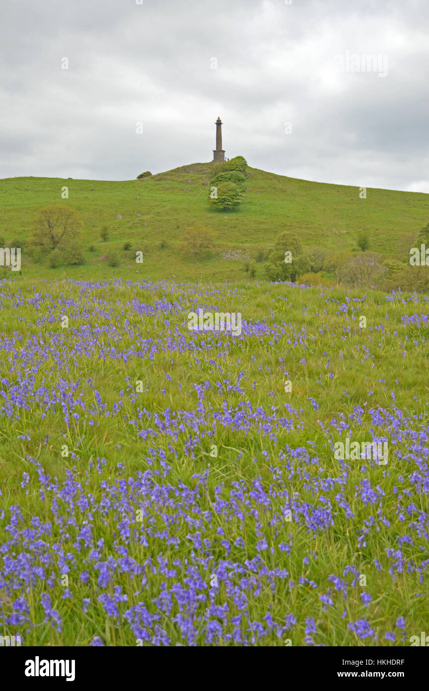 Rodneys Pillar on Breidden Hill, Welshpool, Powys Stock Photo - Alamy