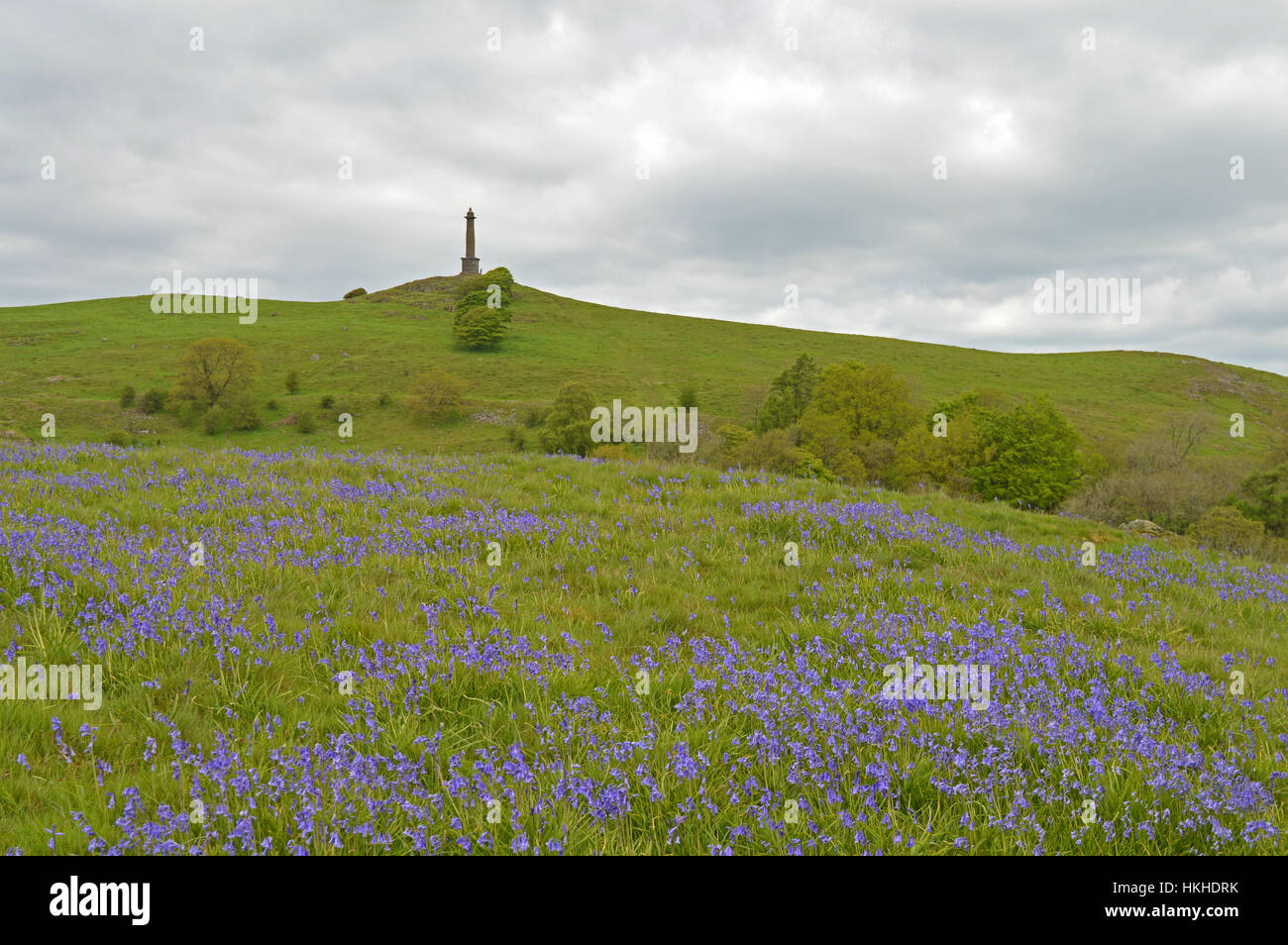 Rodneys Pillar on Breidden Hill, Welshpool, Powys Stock Photo - Alamy
