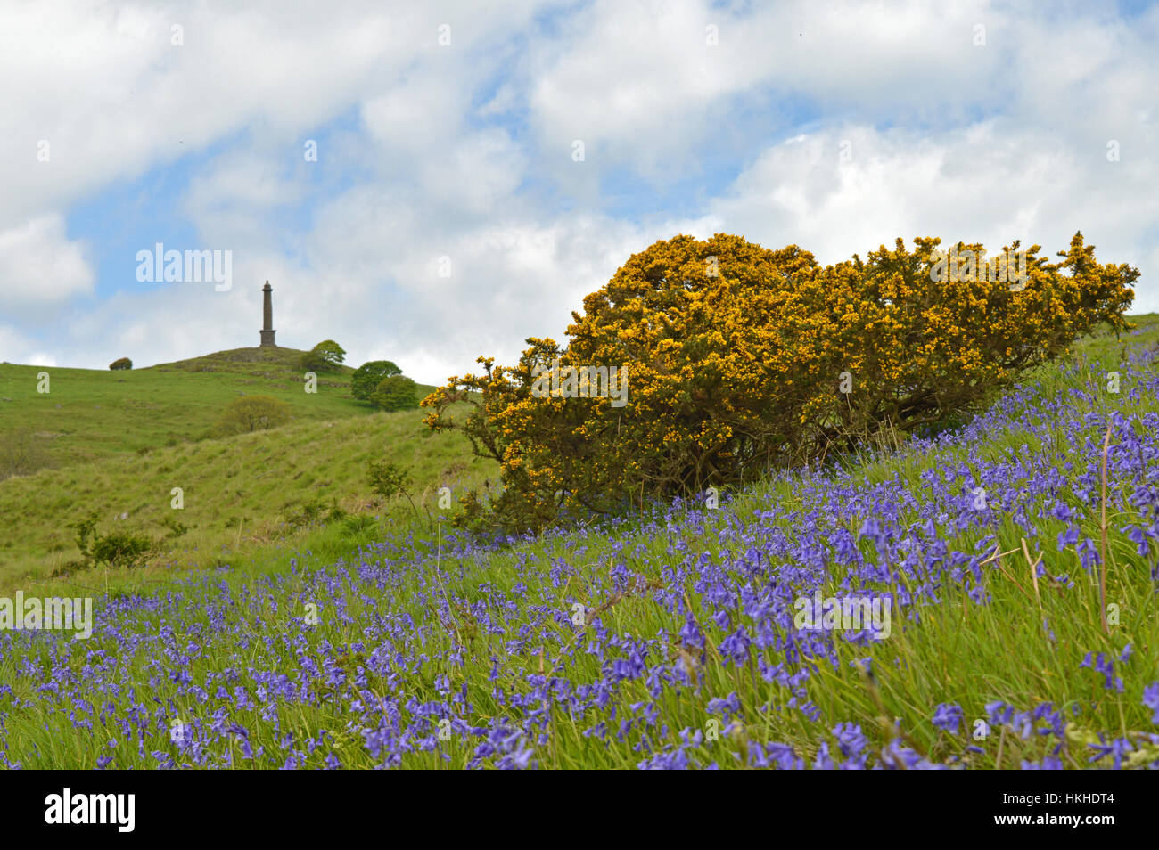 Rodneys Pillar on Breidden Hill, Welshpool, Powys Stock Photo - Alamy