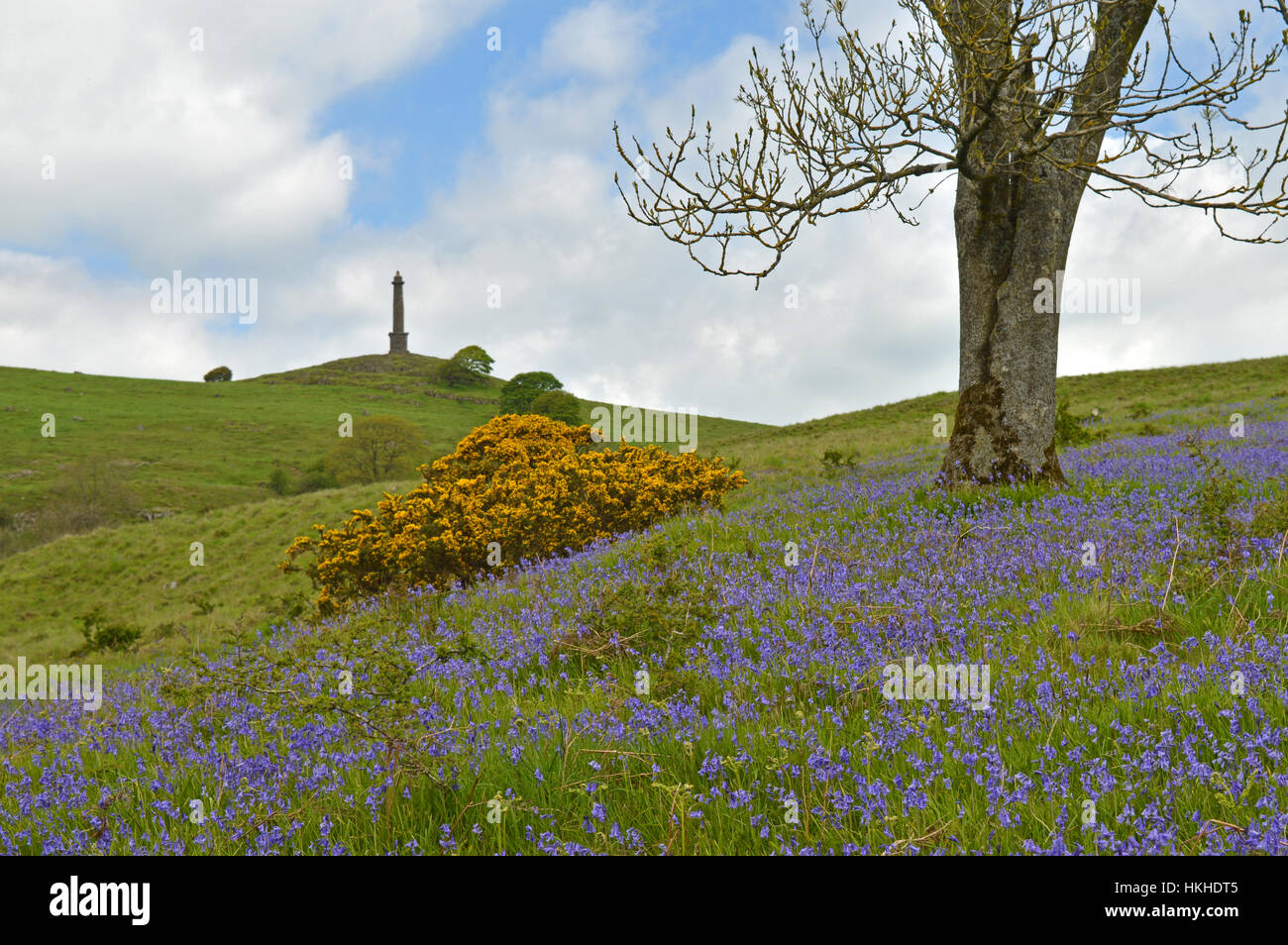Rodneys Pillar on Breidden Hill, Welshpool, Powys Stock Photo - Alamy