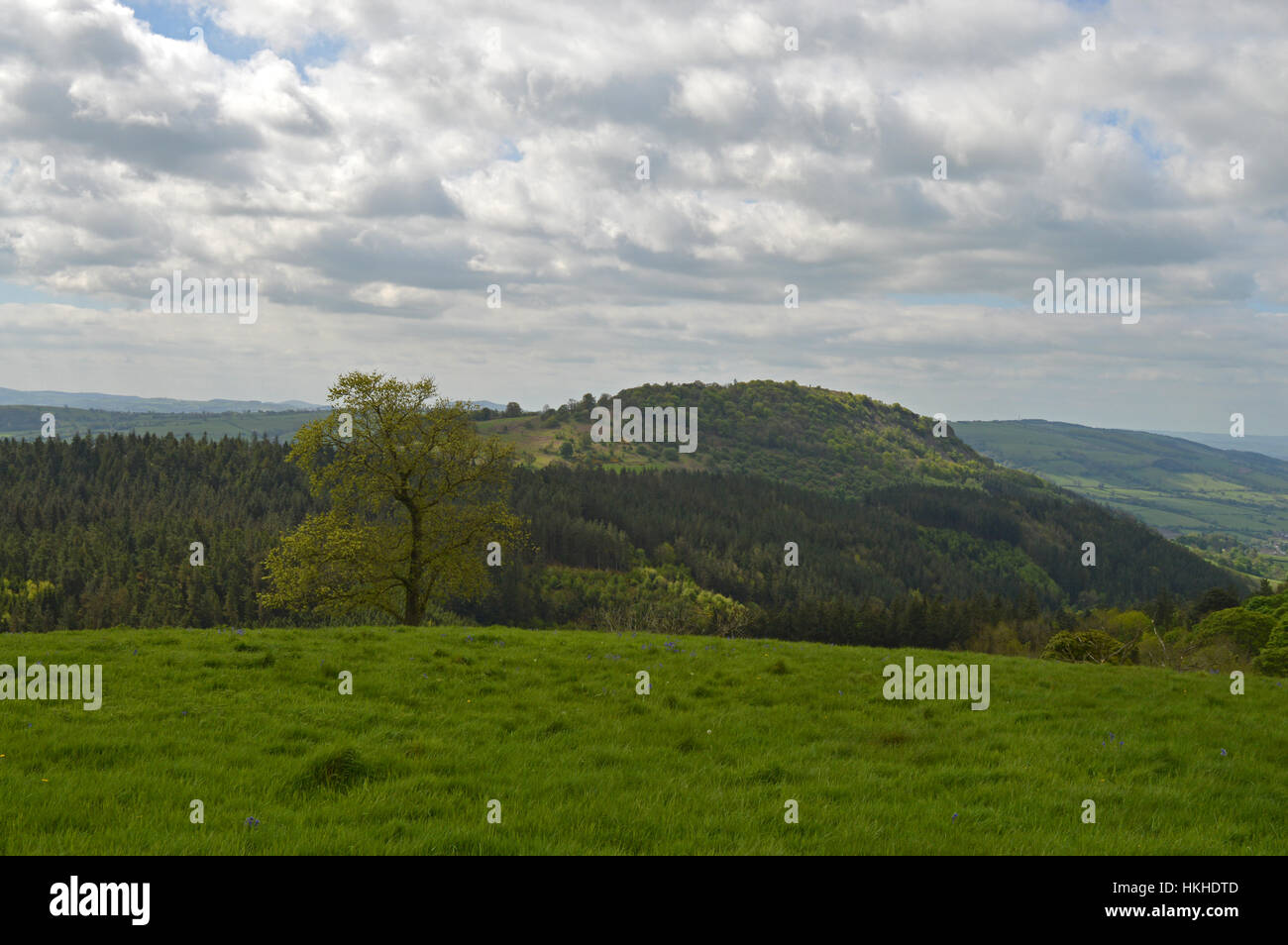 Breidden hills wales hi-res stock photography and images - Alamy