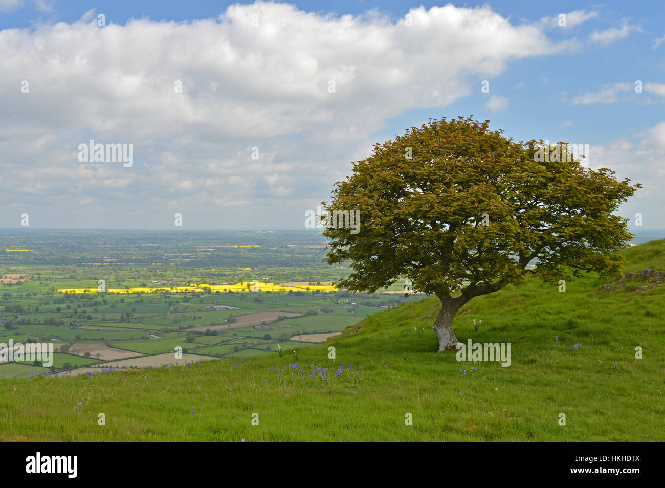 Breidden hills wales hi-res stock photography and images - Alamy