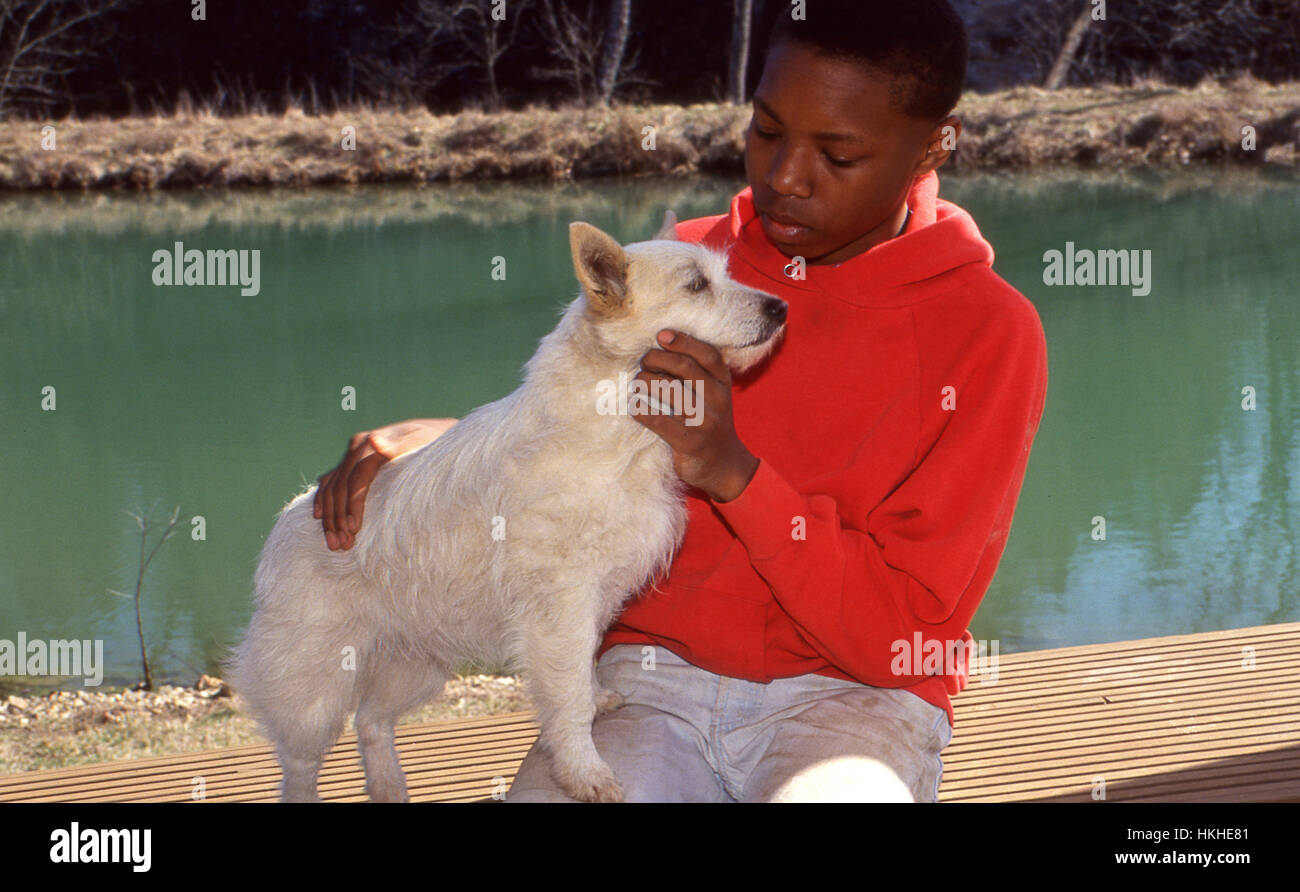 Boy training little dog beside lake, Missouri, USA Stock Photo - Alamy