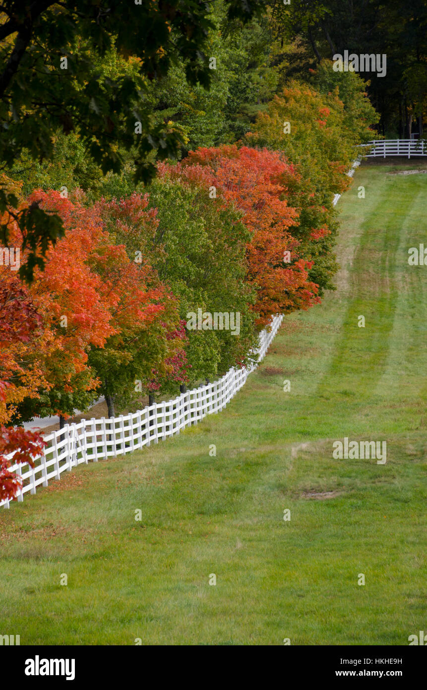 White fence runs hi-res stock photography and images - Alamy