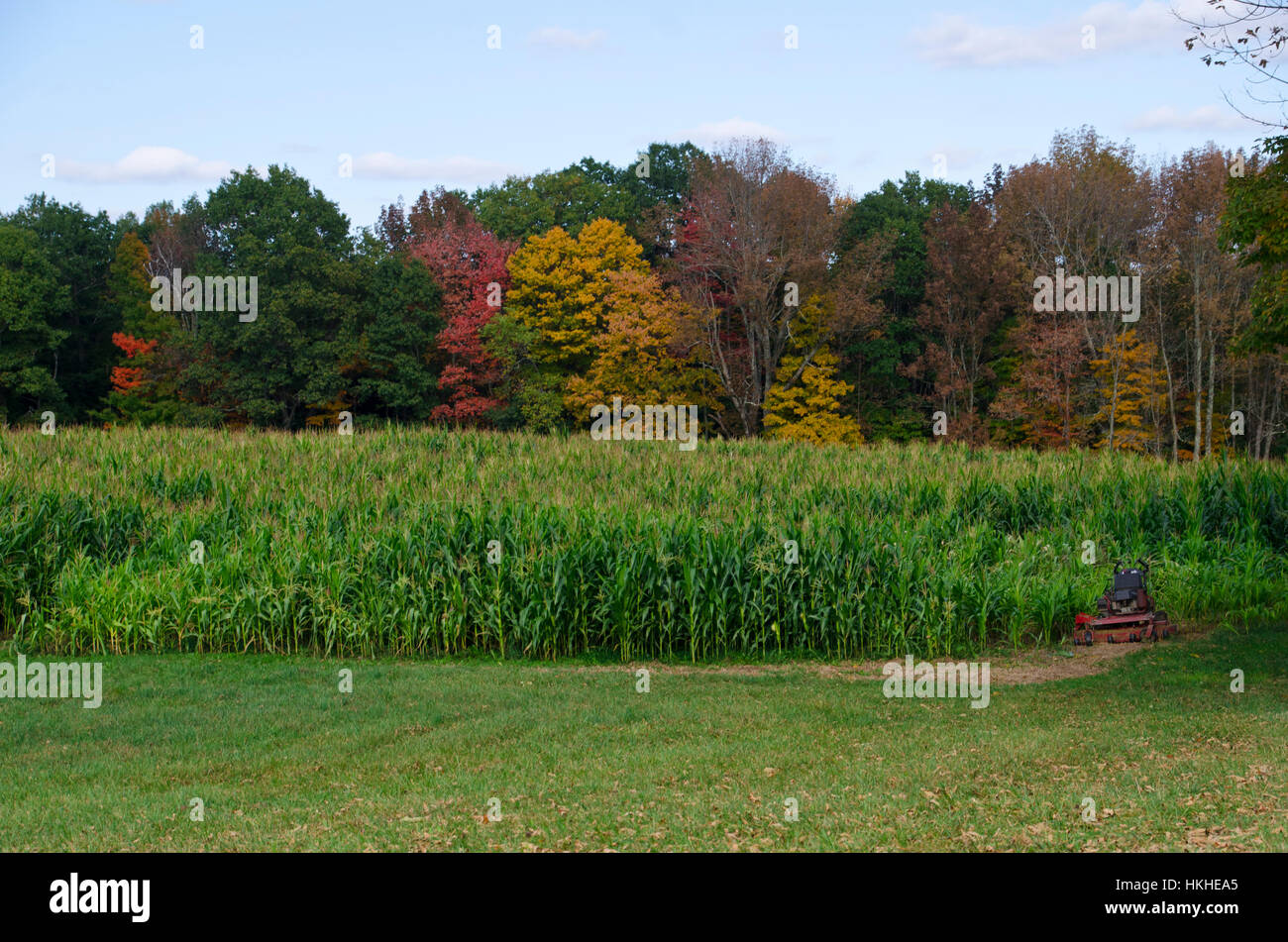 New gloucester maine hi-res stock photography and images - Alamy