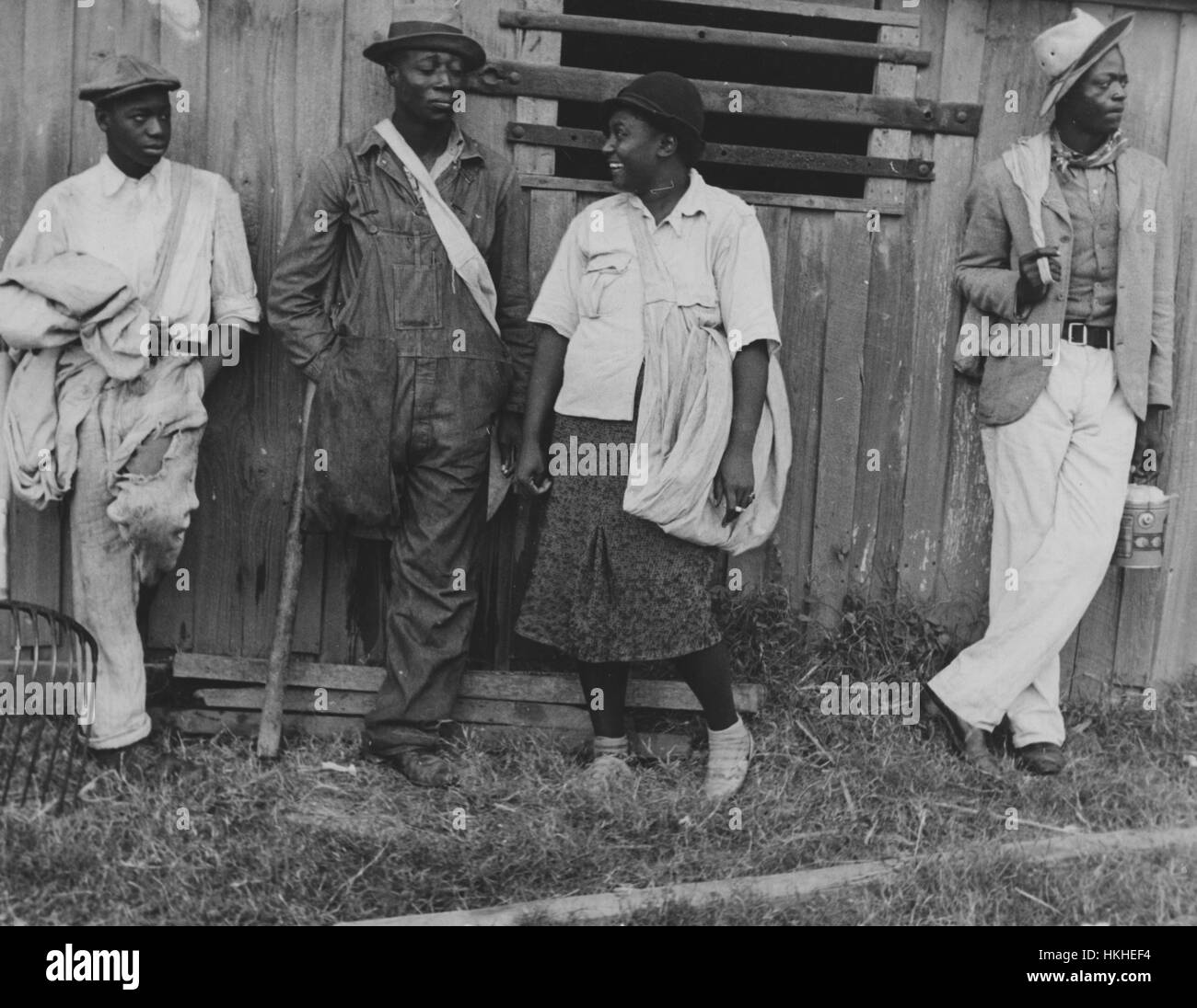 Black cotton pickers hi-res stock photography and images - Alamy