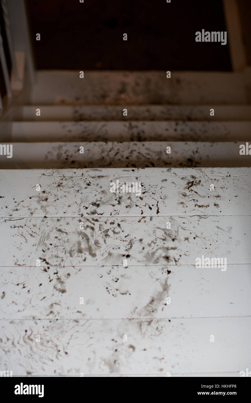 Dirty flooring hi-res stock photography and images - Alamy