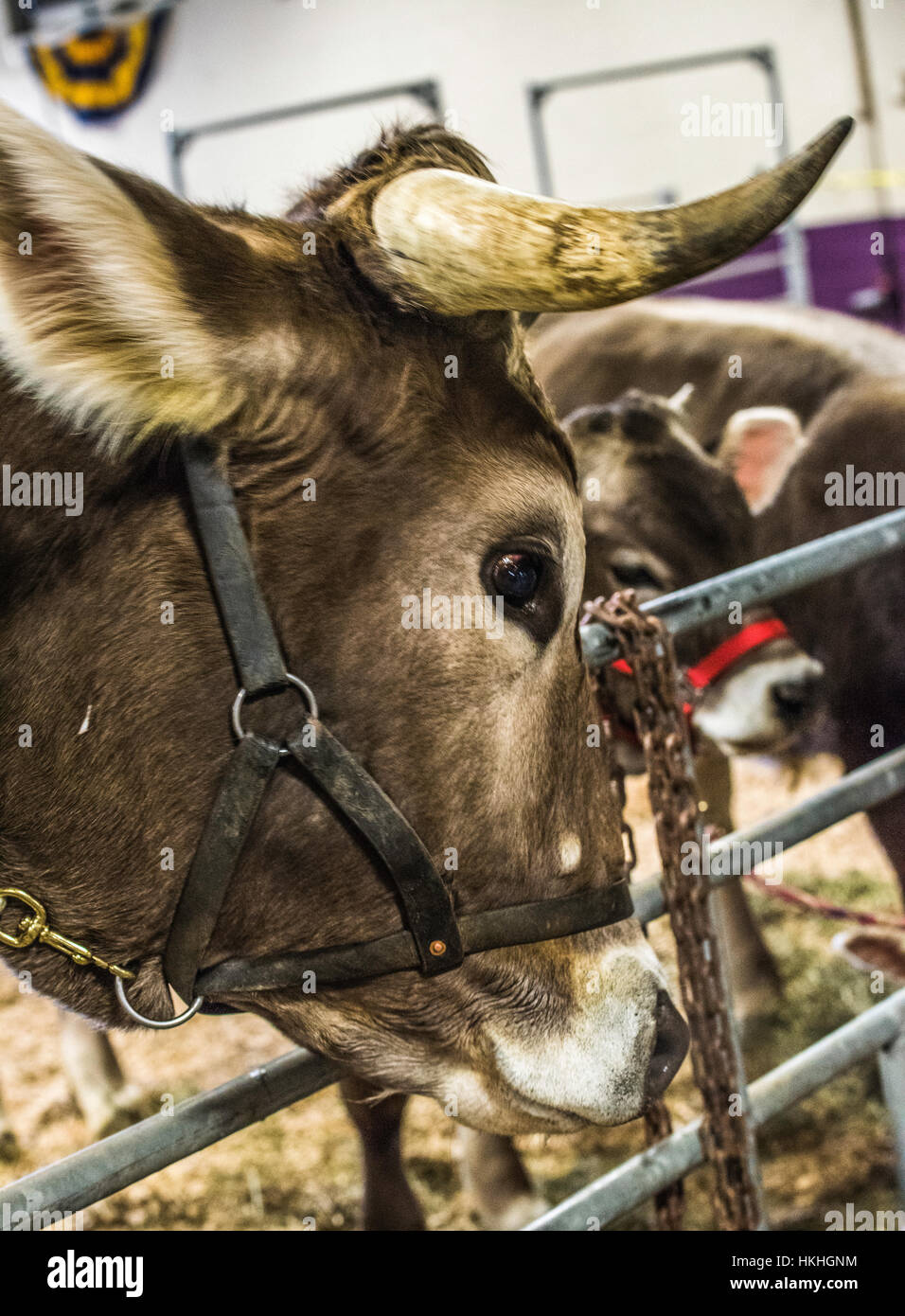 Pennsylvania state farm show harrisburg hi-res stock photography and ...