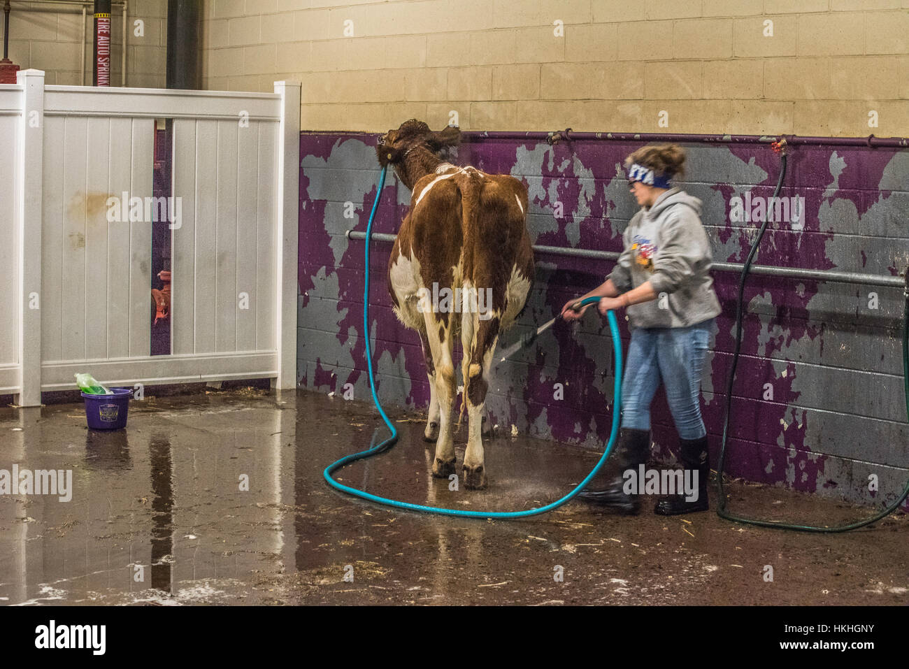 Pennsylvania state farm show harrisburg hi-res stock photography and ...