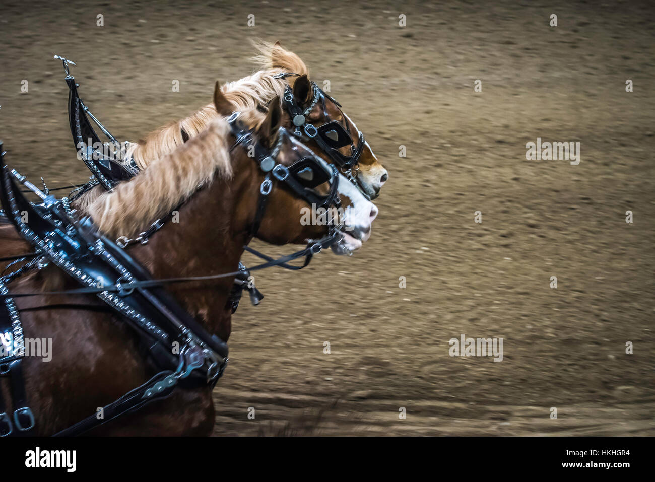 Pennsylvania State Farm Show,, Harrisburg, PA Stock Photo - Alamy
