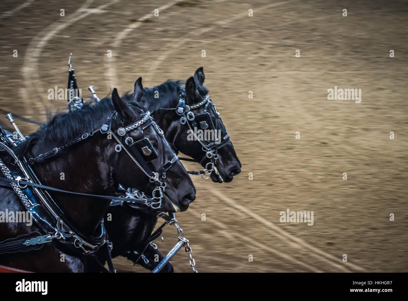 Pennsylvania State Farm Show,, Harrisburg, PA Stock Photo - Alamy
