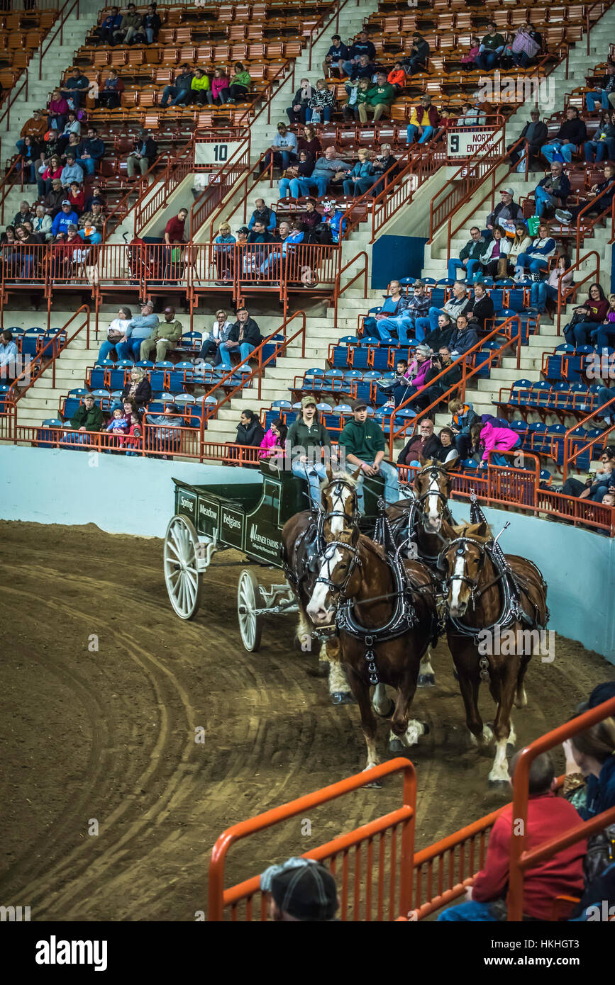 Pennsylvania State Farm Show,, Harrisburg, PA Stock Photo - Alamy