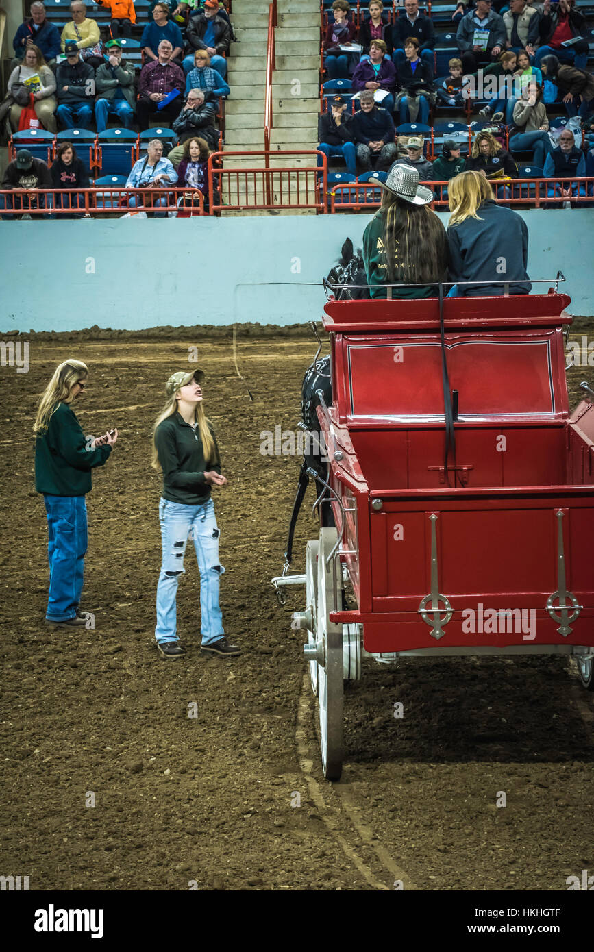 Pennsylvania State Farm Show Harrisburg High Resolution Stock ...