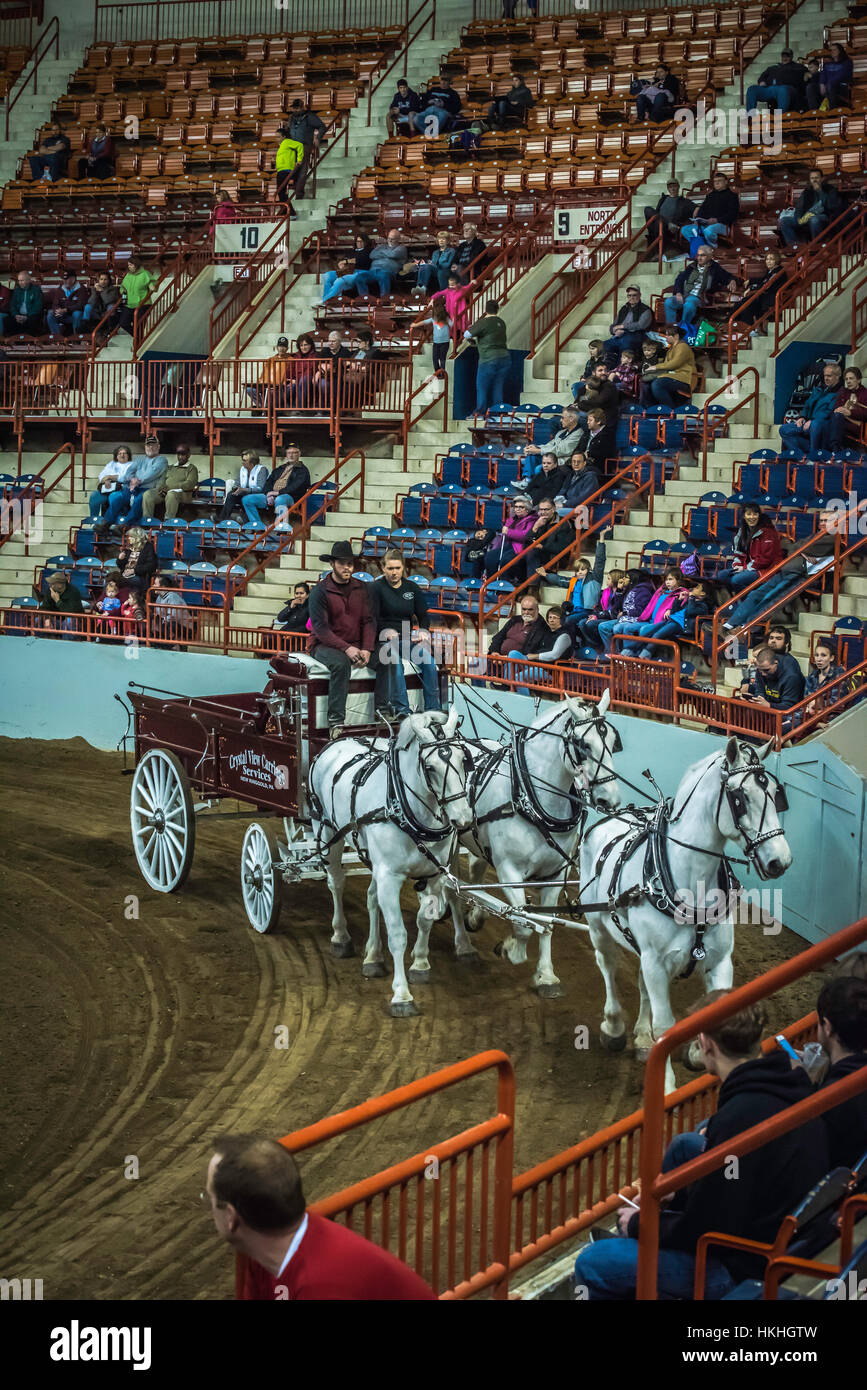 Pennsylvania State Farm Show Harrisburg High Resolution Stock ...