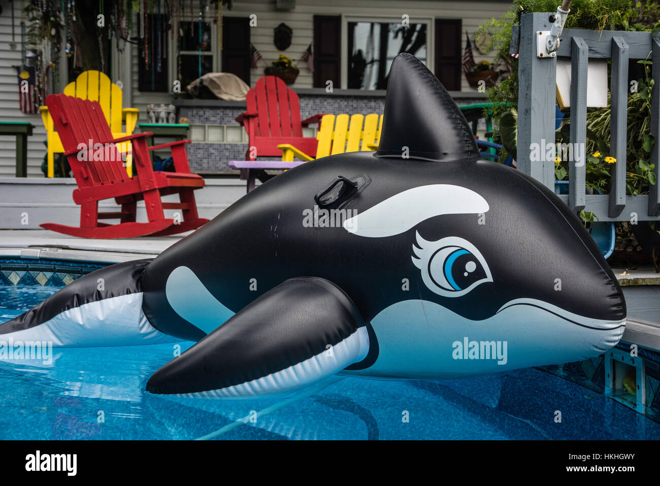 Backyard swimming pool play items, inflatable whale, colorful ...