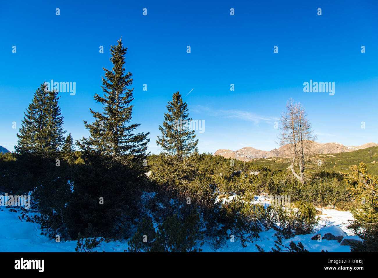 dry winter in the italian alps Stock Photo - Alamy