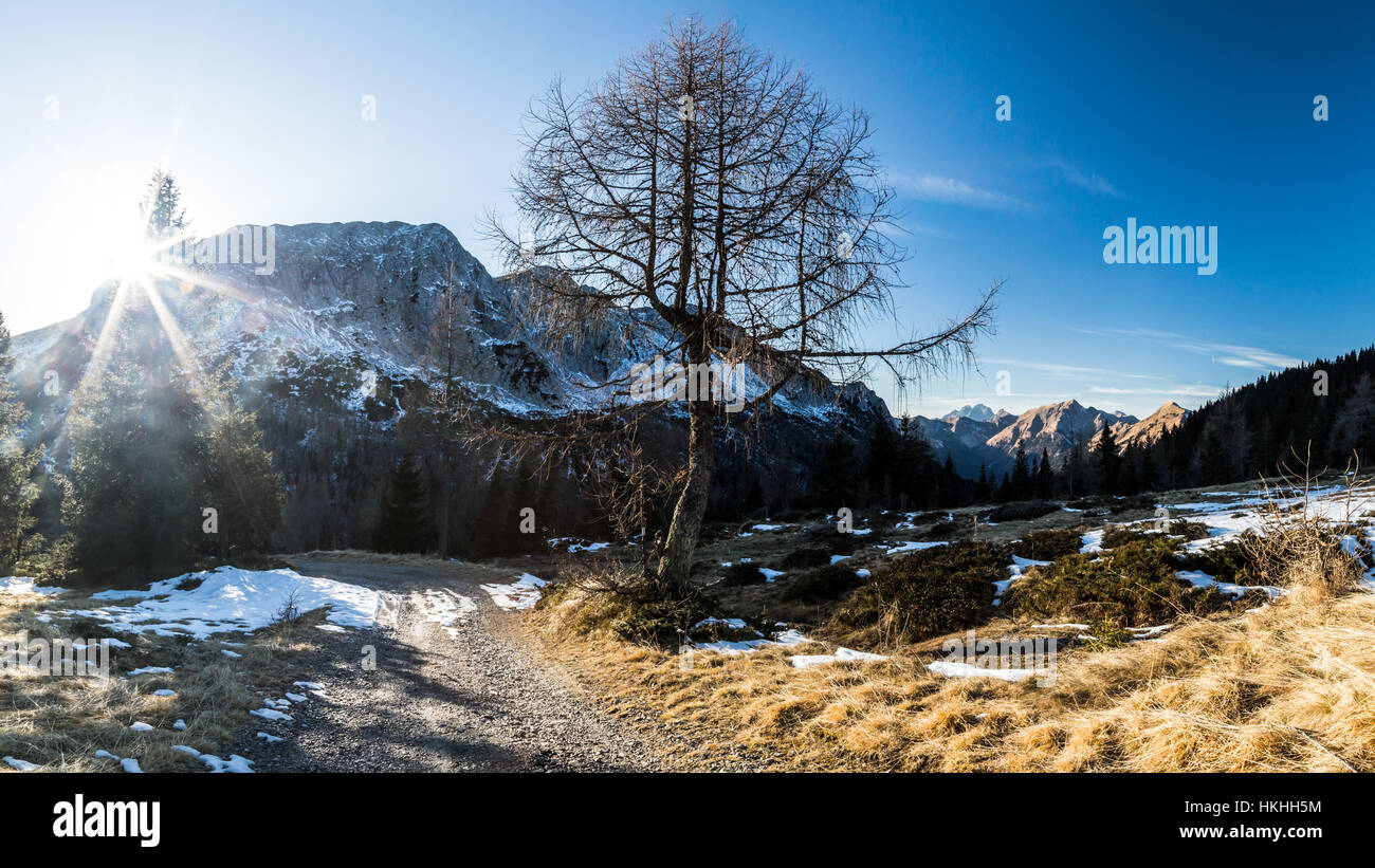 dry winter in the italian alps Stock Photo - Alamy