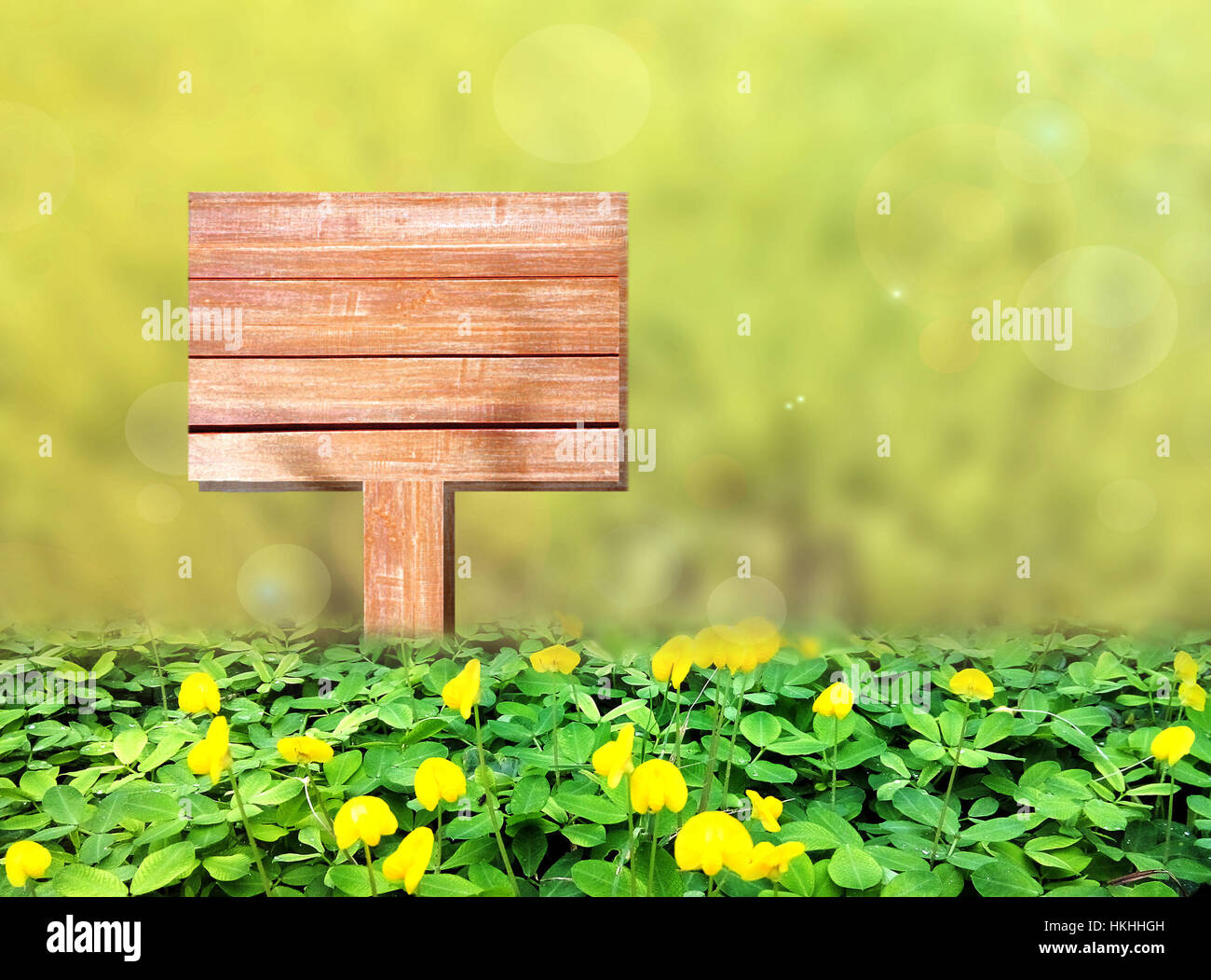 Wood sign on grass in spring background with copy space Stock Photo - Alamy
