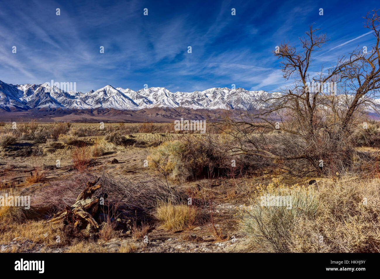 Billy blue mountain hi-res stock photography and images - Alamy