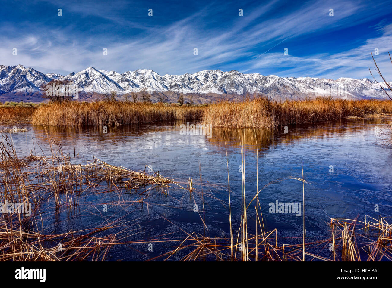 Billy blue mountain hi-res stock photography and images - Alamy