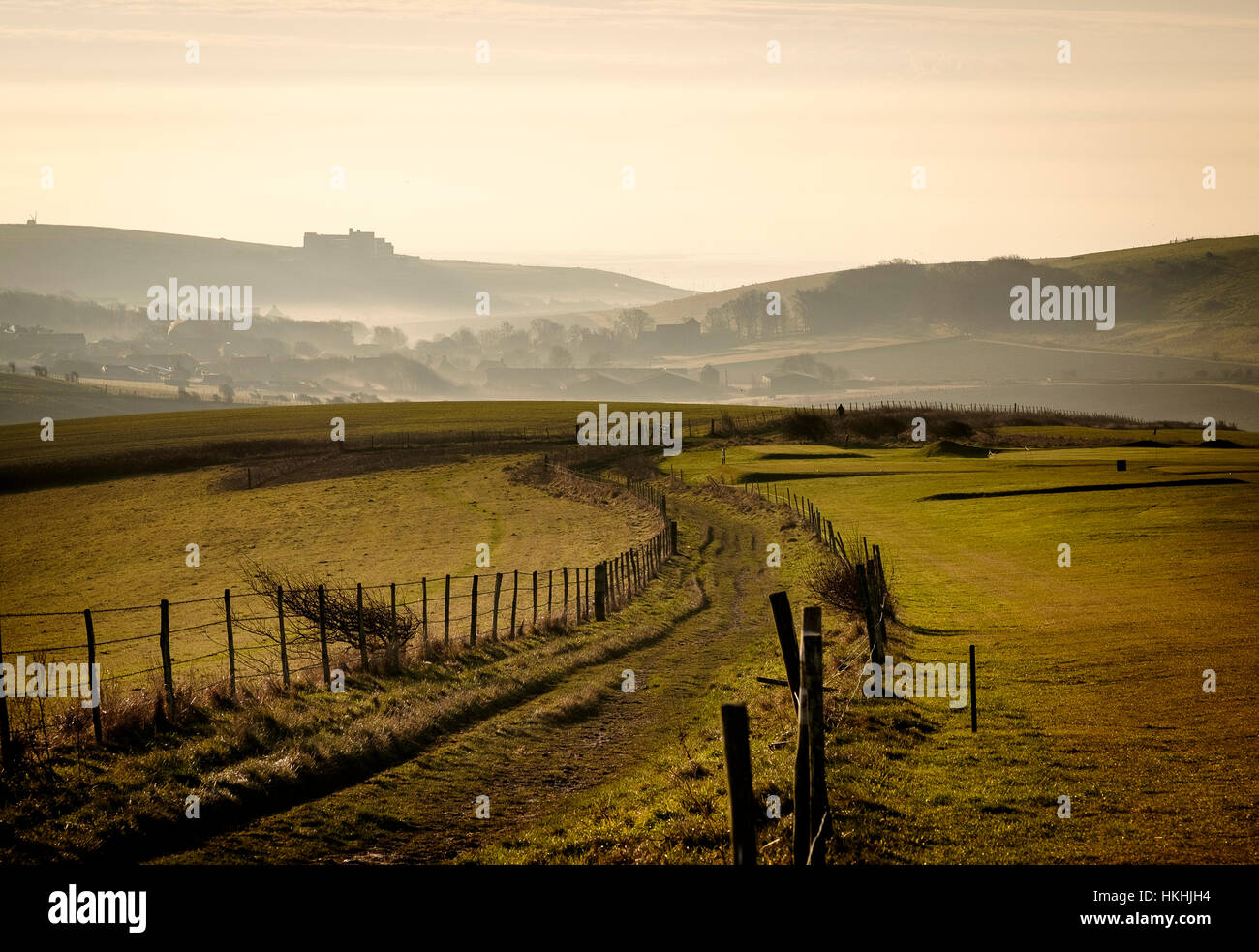 Whitehawk hi-res stock photography and images - Alamy