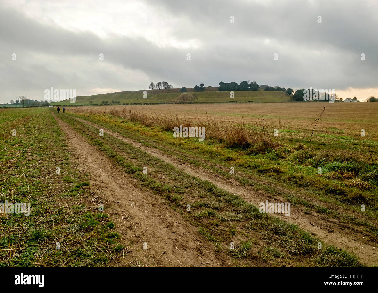 A track through agricultural landscape in Wiltshire in front of the ...