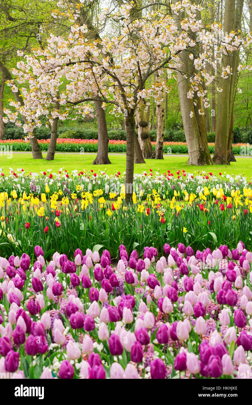 Formal spring garden Stock Photo - Alamy