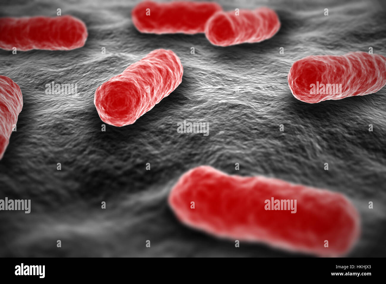 Red colored salmonella bacterium microscopic view on surface ...