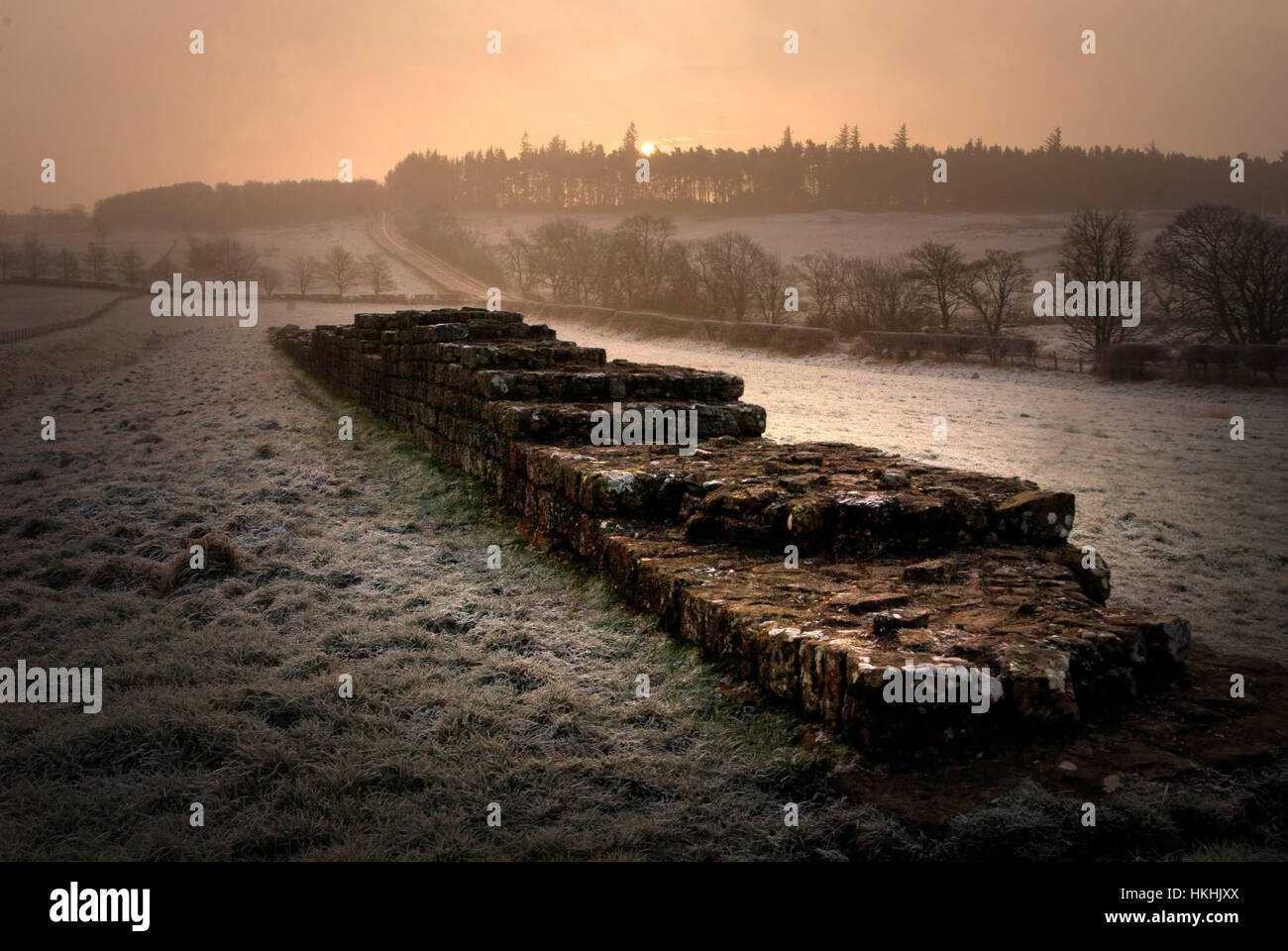 Black Carts Turret, Hadrian's Wall, Northumberland Stock Photo - Alamy