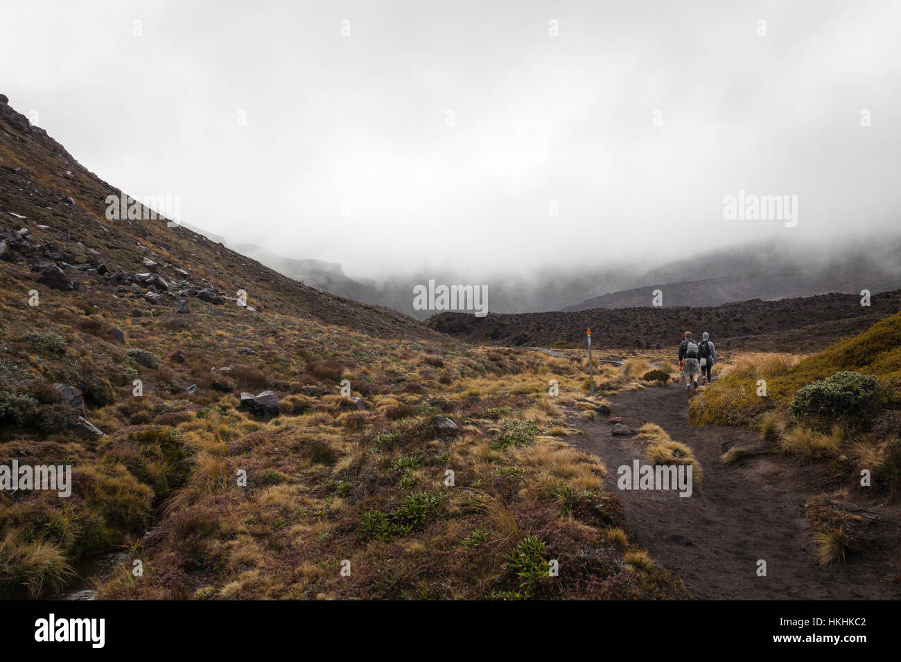 Ngauruhoe volcano (2291mt), Tongariro national park, North island, New ...